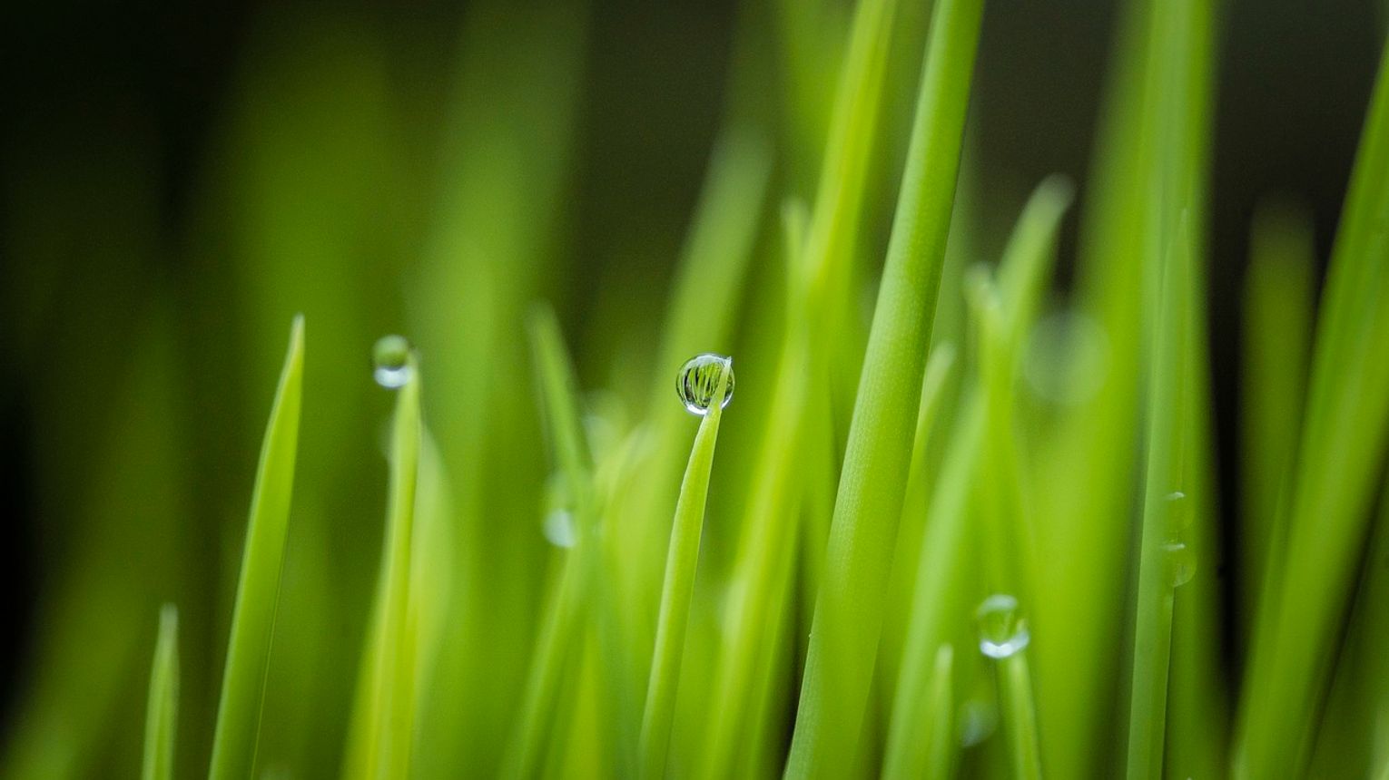 Tczewskie nieruchomości w II etapie konkursu Grunt na Medal 2025