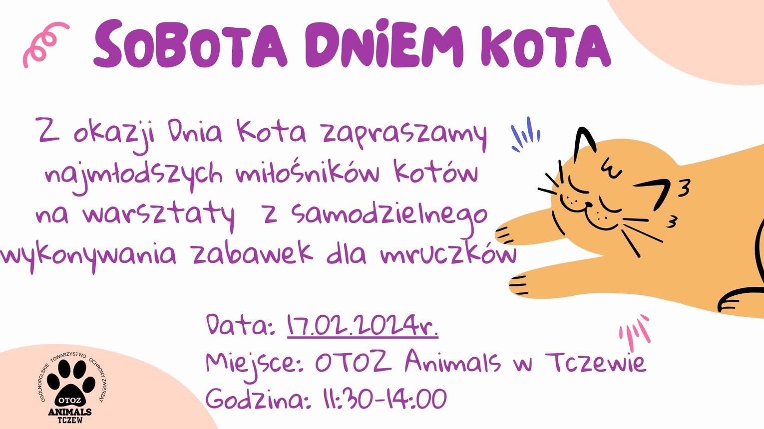 Dzień Kota w OTOZ Animals Tczew
